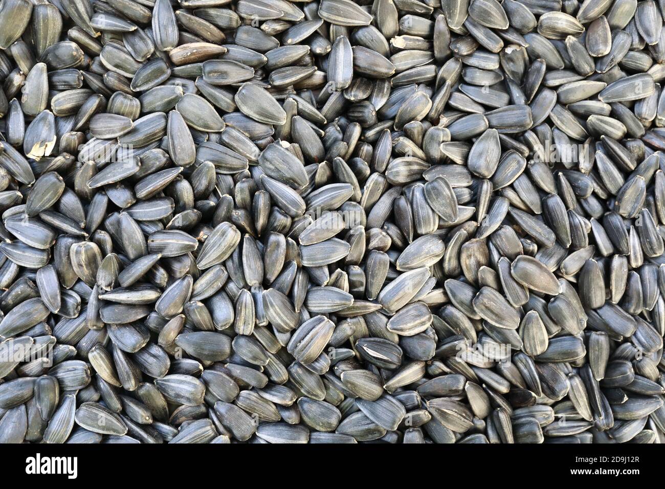 Details of Fried Sunflower Seeds as background Stock Photo - Alamy