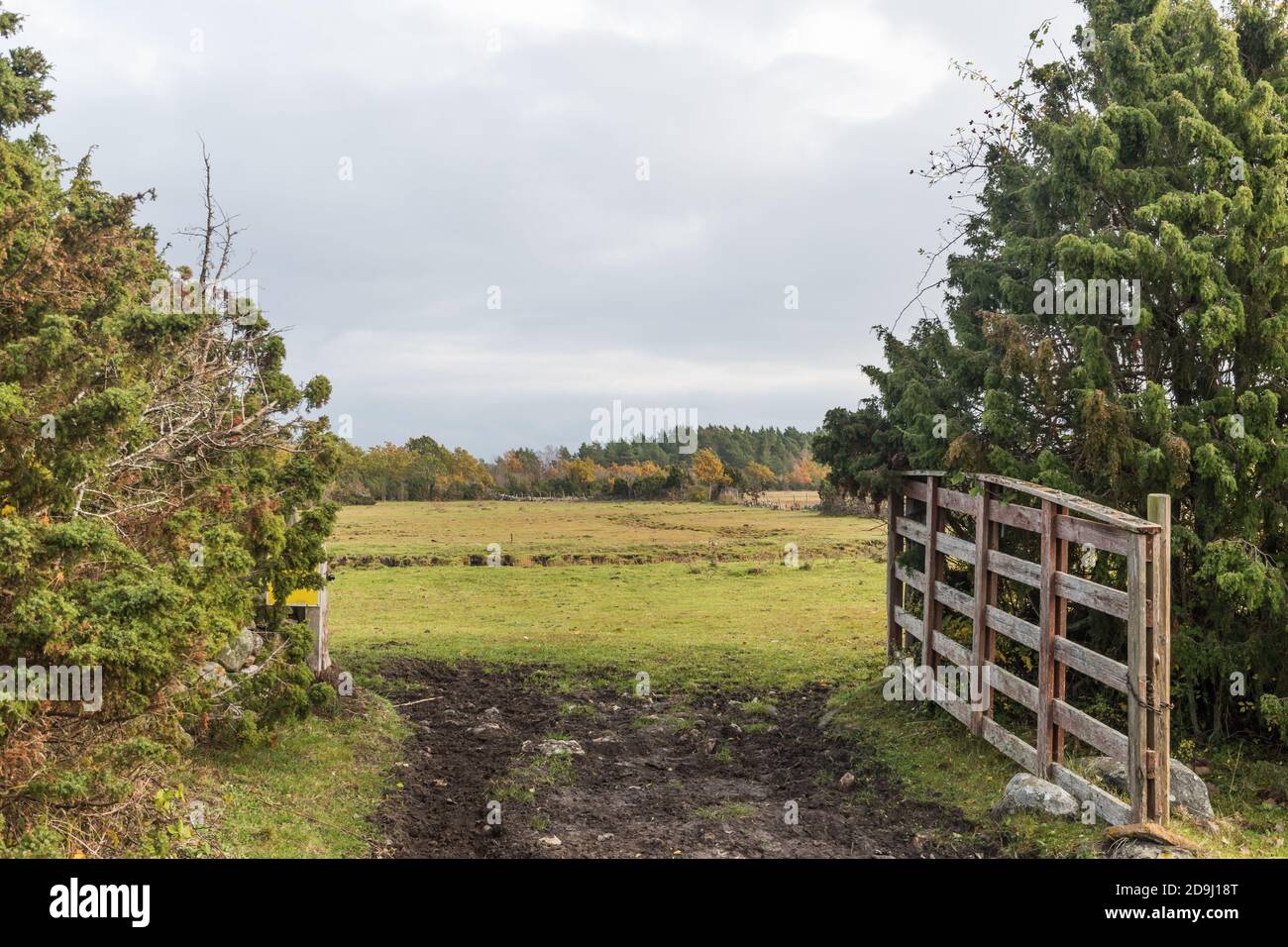 Open gate into a fall colored landscape on the island Oland in Sweden ...