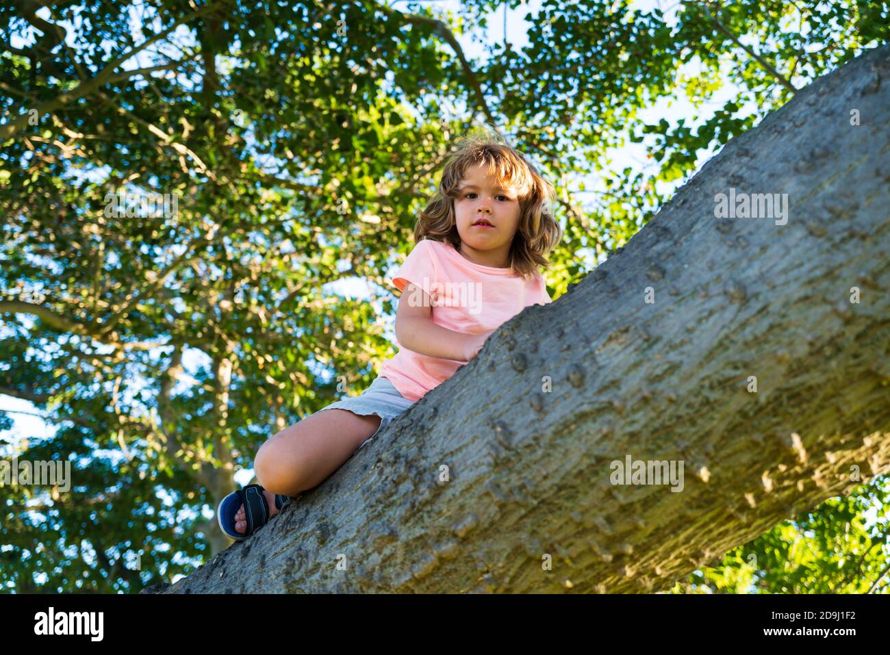 Little pretty Child boy climbing tree in the park Stock Photo - Alamy