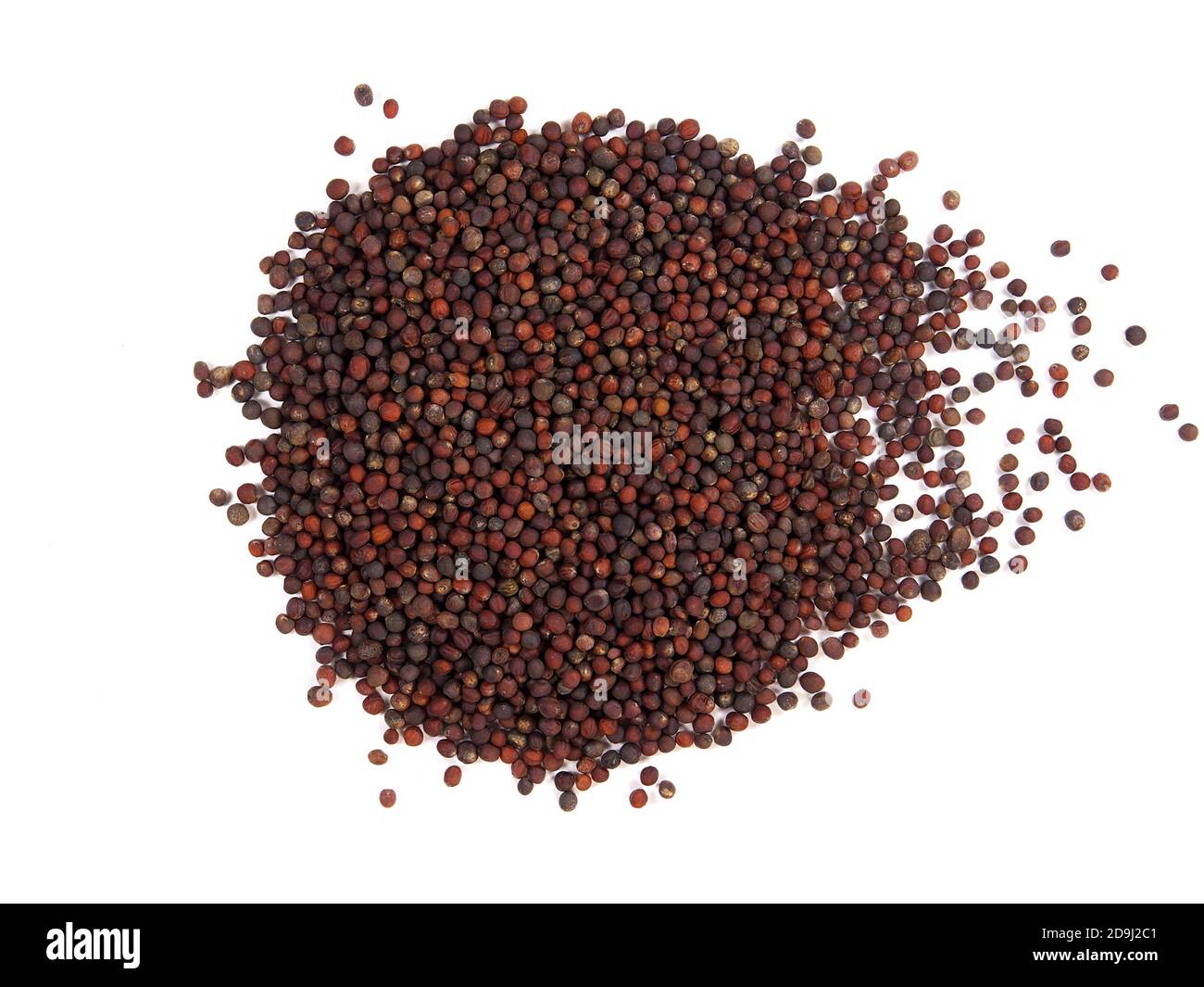 Pile of Cabbage seeds isolated on white Stock Photo - Alamy