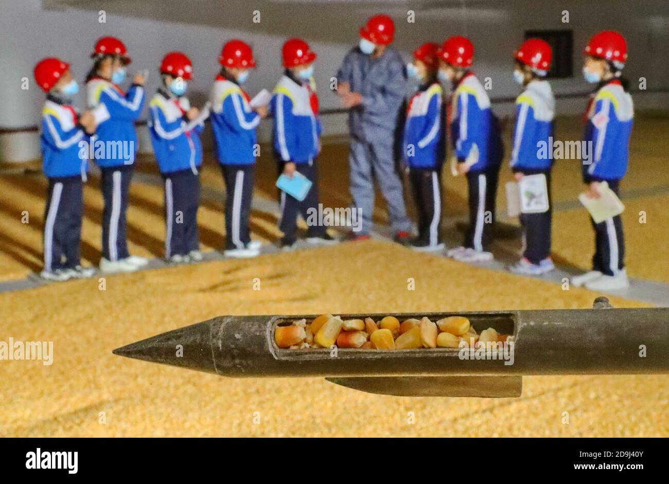 Primary food production hi-res stock photography and images - Alamy