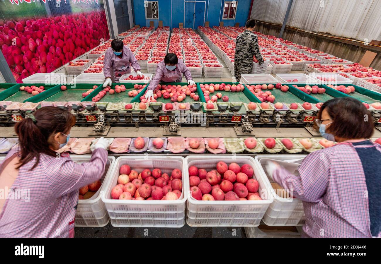 15 apples hi-res stock photography and images - Alamy