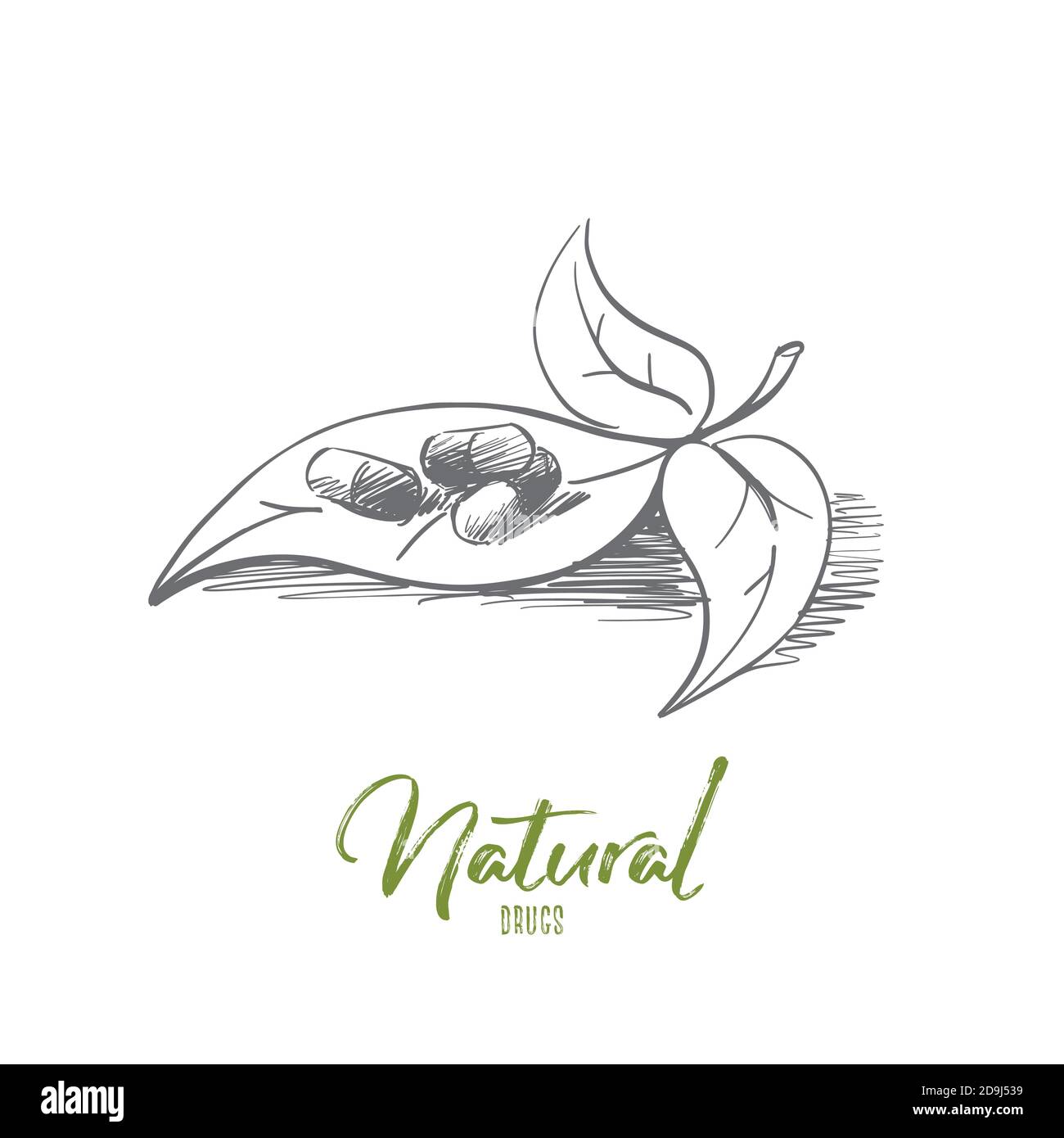 Vector hand drawn natural drugs concept sketch. Pills with natural ...