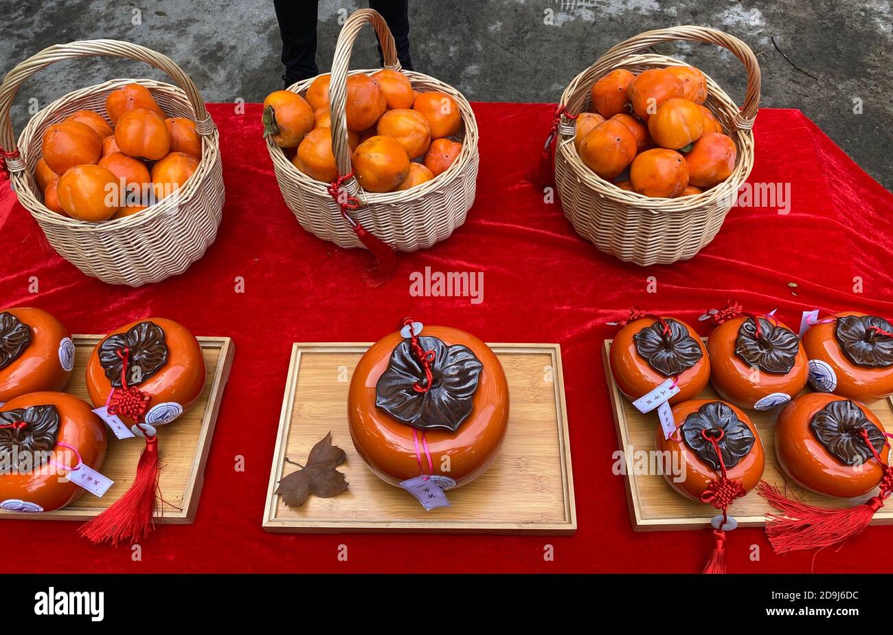 Students show persimmon picked in the Northwestern Polytechnical ...
