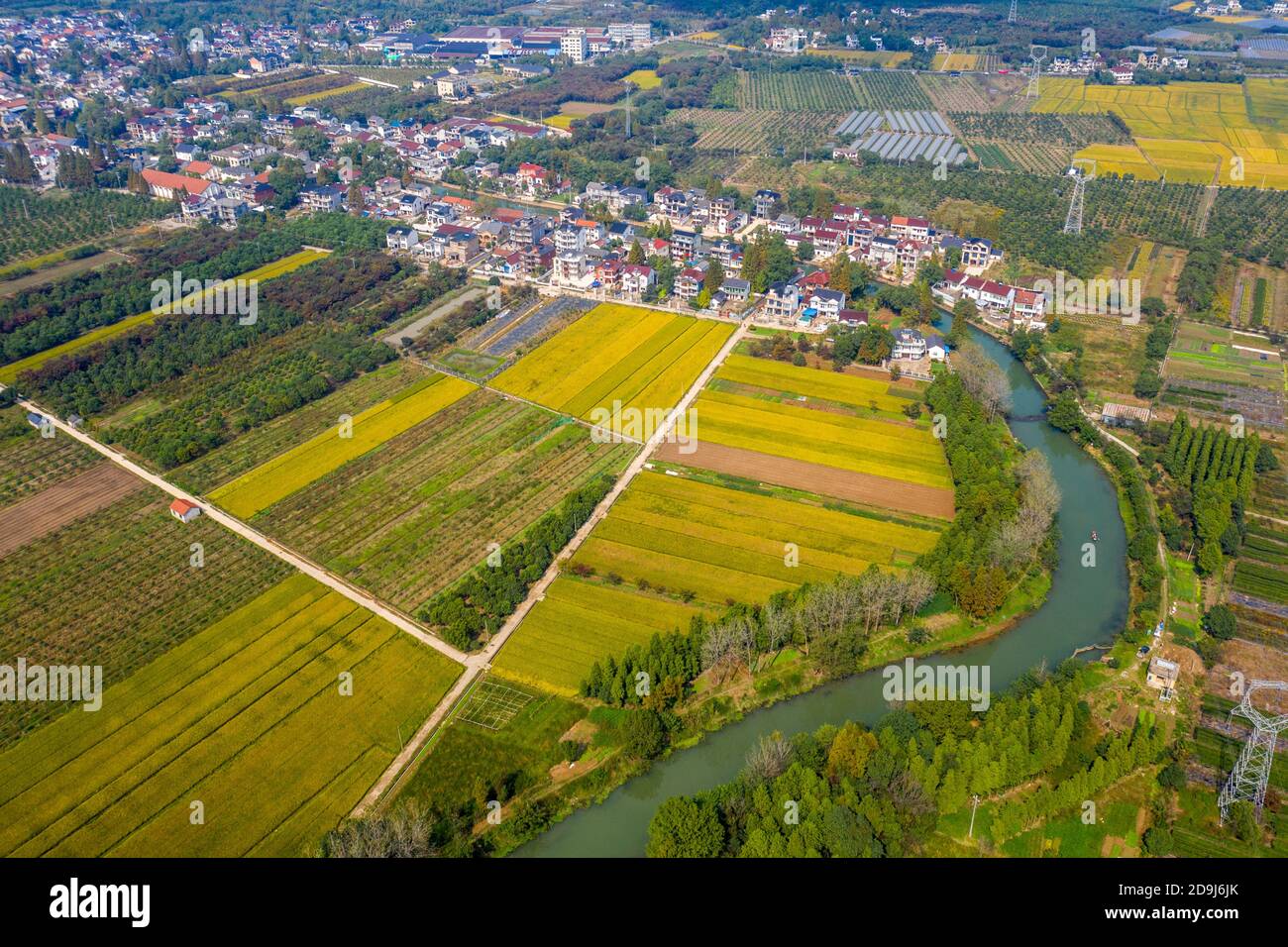 Aerial view of the farming field in Huzhou city, east China's Zhejiang ...
