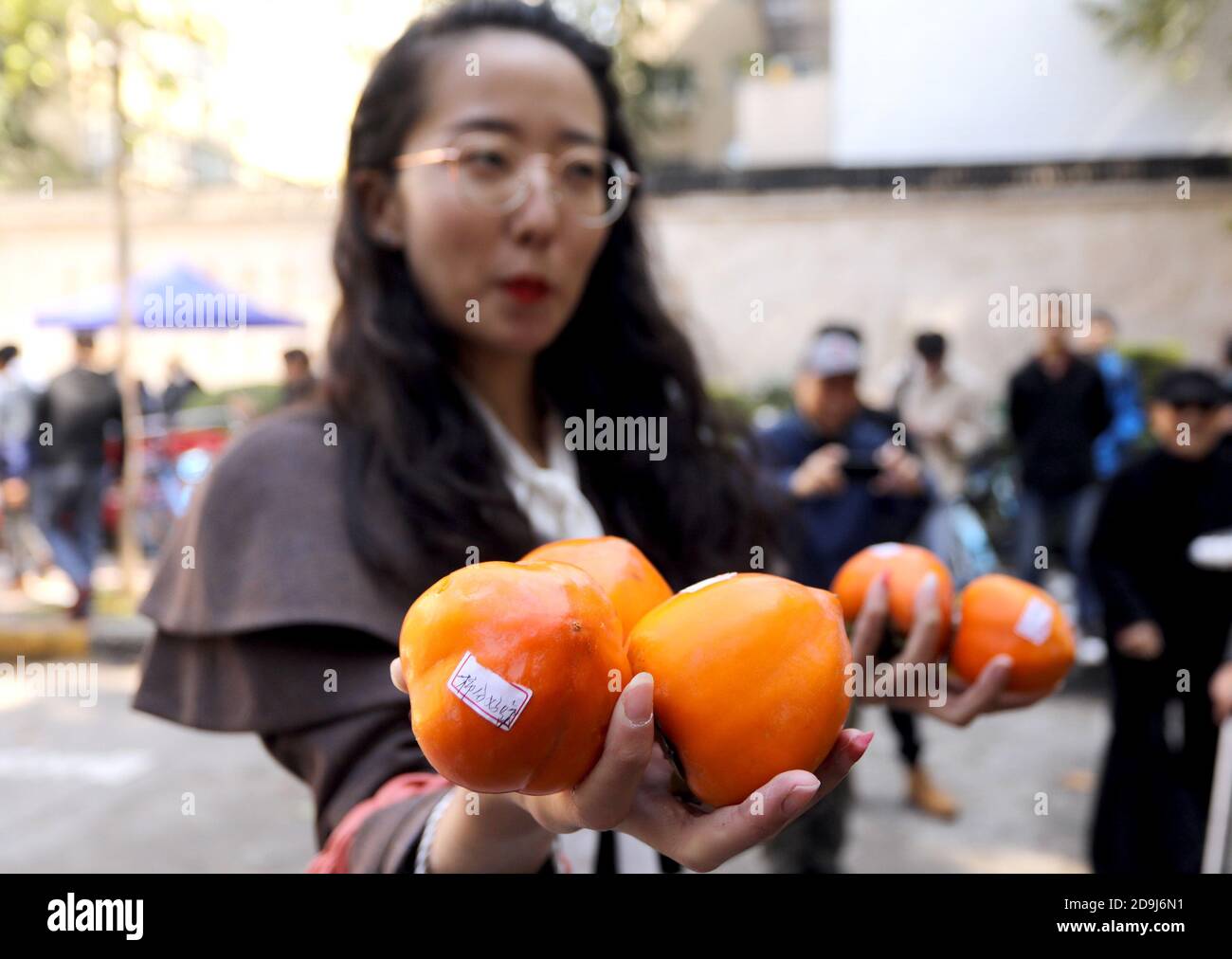 Students show their persimmon picked in the Northwestern Polytechnical ...