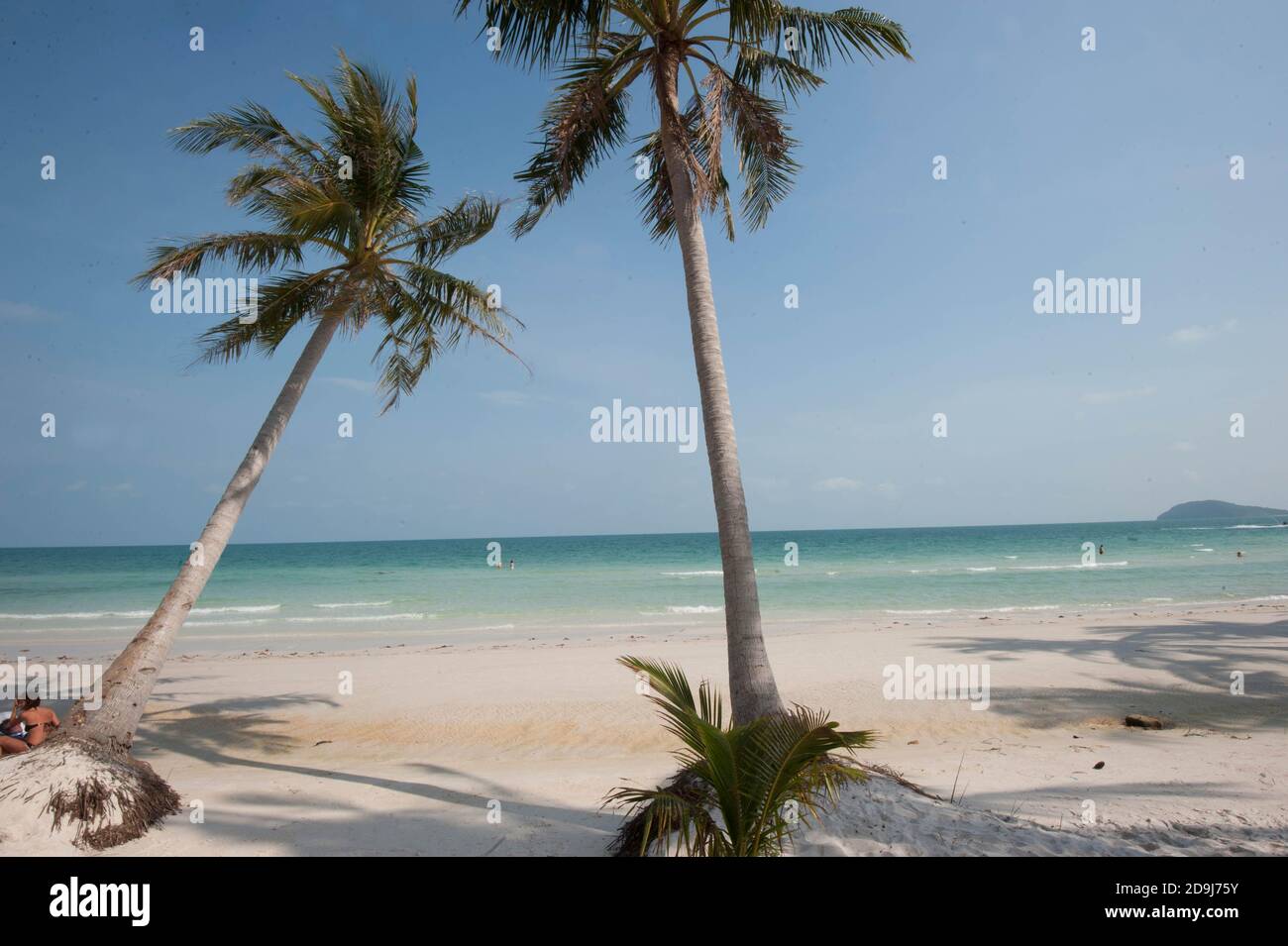 palms, sunshine and clear blue sky at a vietnamese beach Stock Photo ...