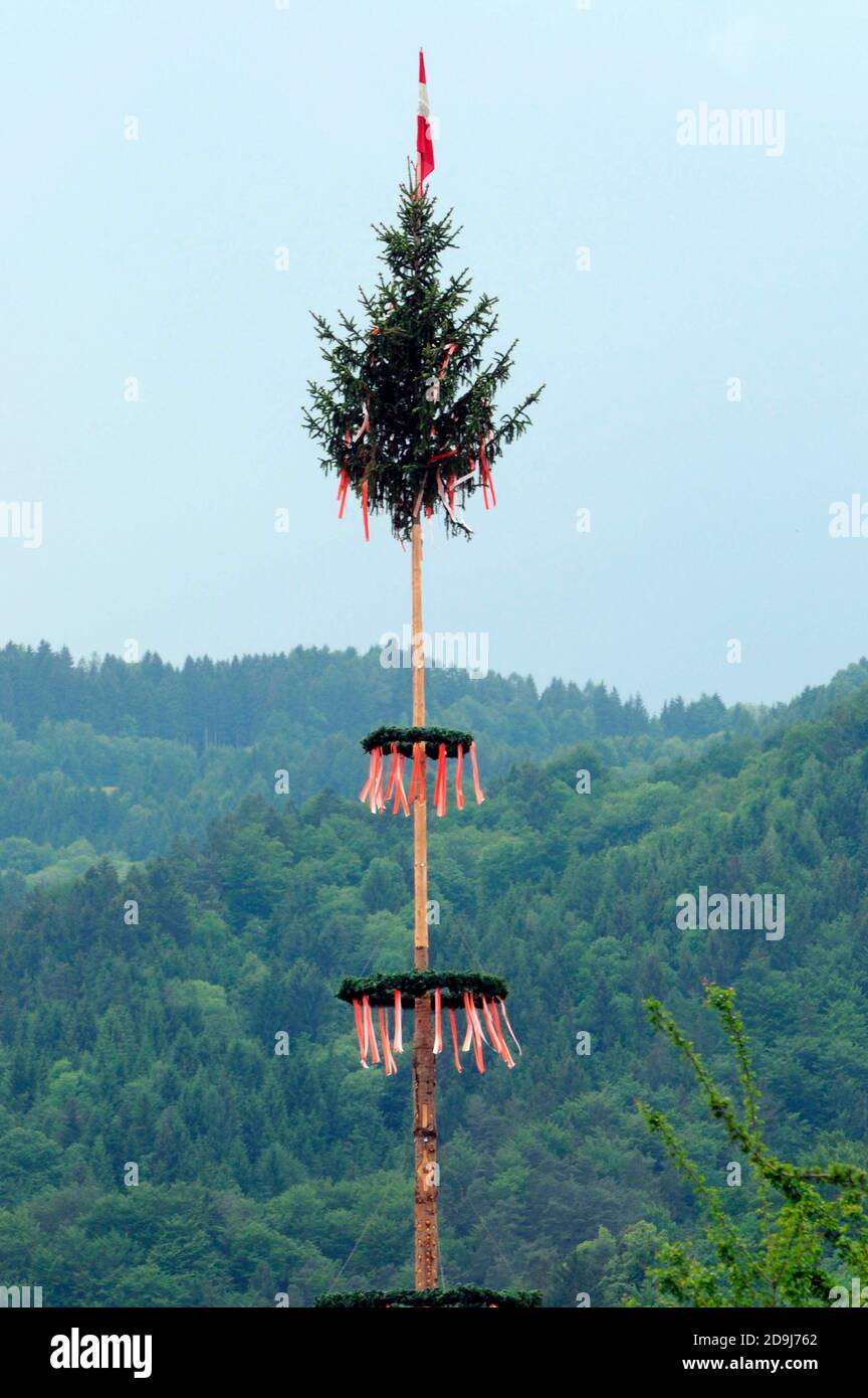 traditional maypole with pennants in a village in the mountains of ...