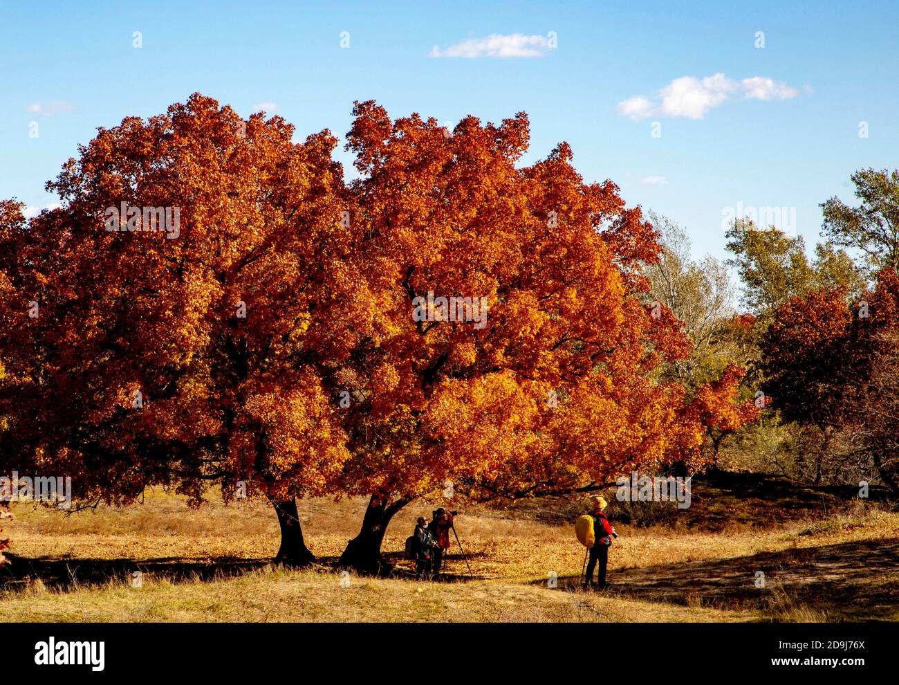 Tourists from northeast China and even all over the world take pictures ...