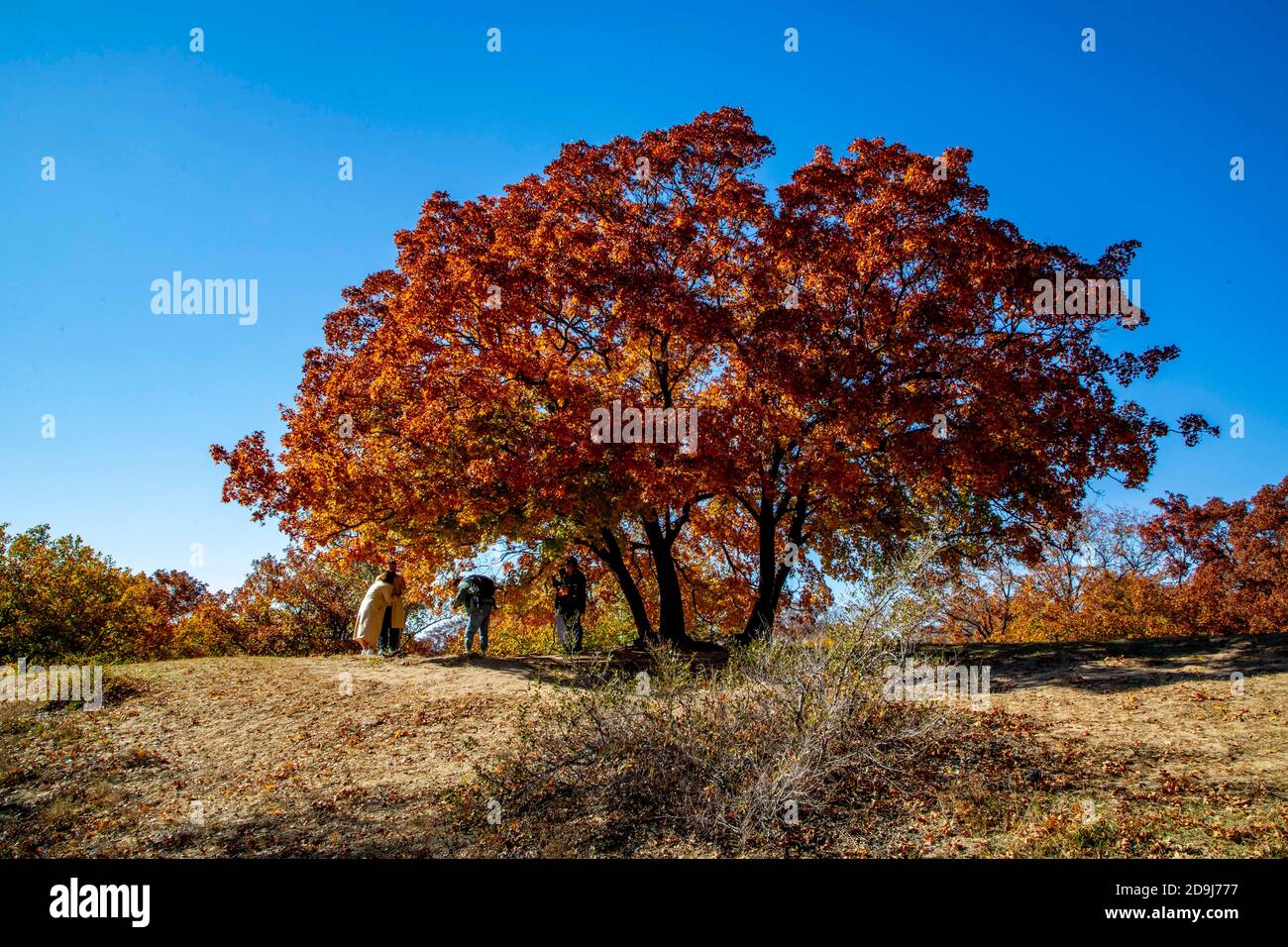 Tourists from northeast China and even all over the world take pictures ...
