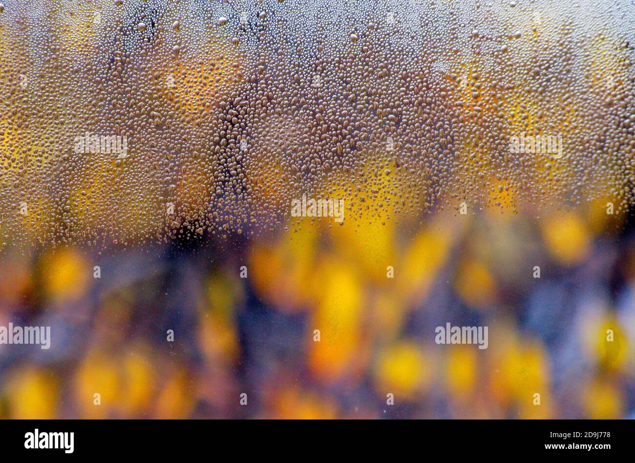 Dew drops on a window with a colorful yellow and purple background ...