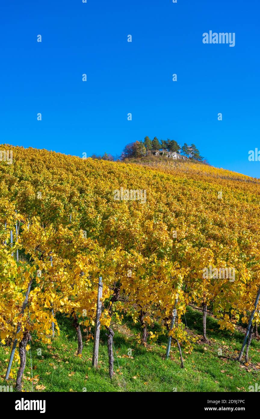 Weinstadt hi-res stock photography and images - Alamy