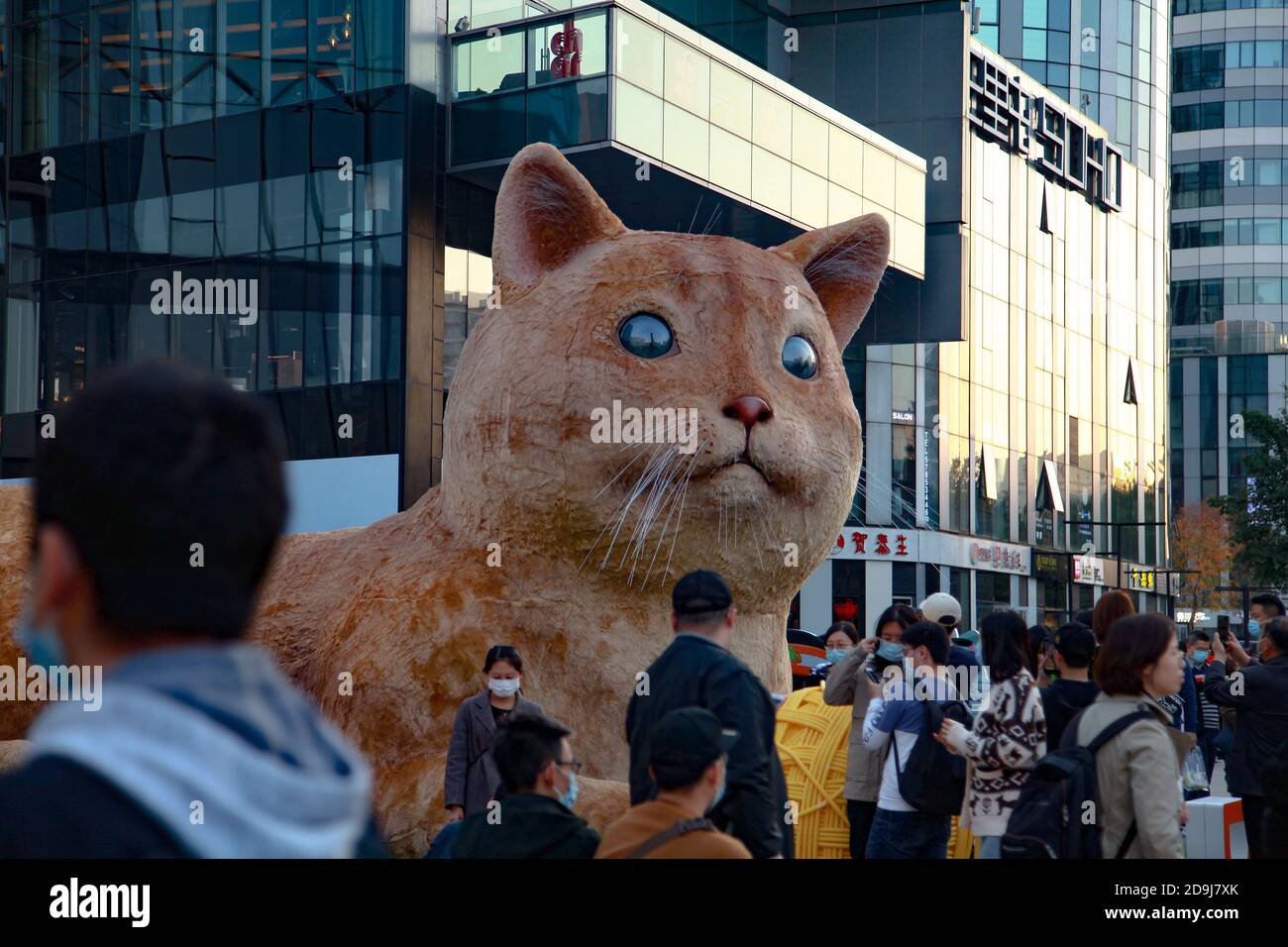 A huge cat sculpture that is a hundred times larger than a normal cat ...