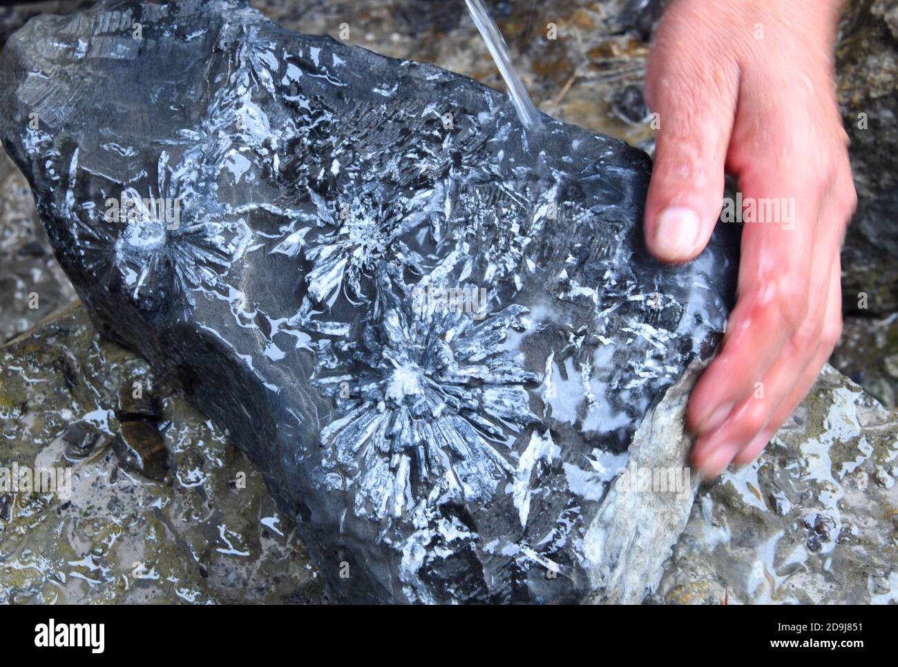 Craftsmen carve unique sculptures on the chrysanthemum stone in Enshi ...