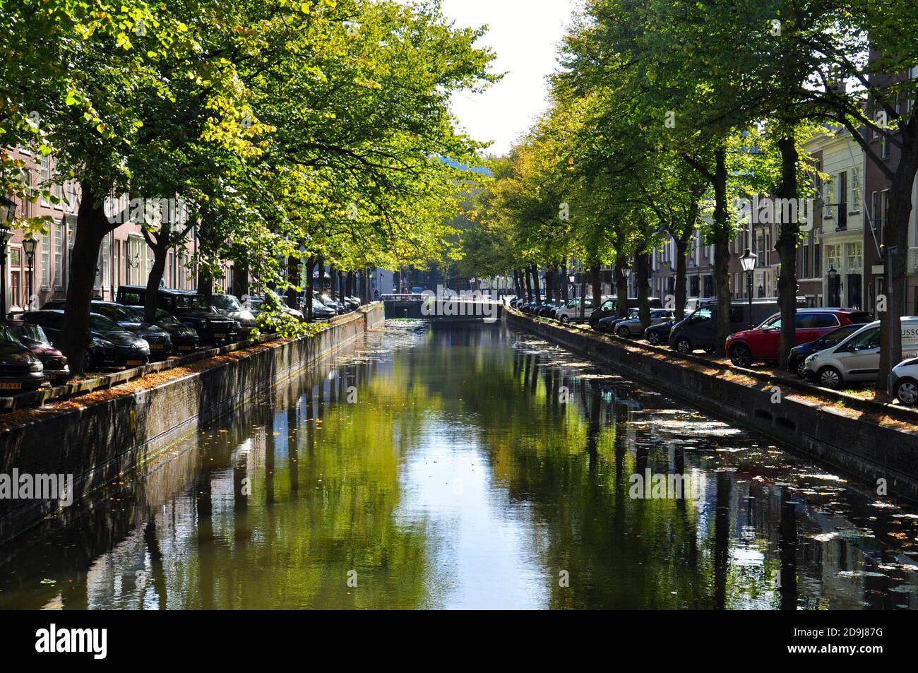 Avenue trees in netherlands hi-res stock photography and images - Alamy