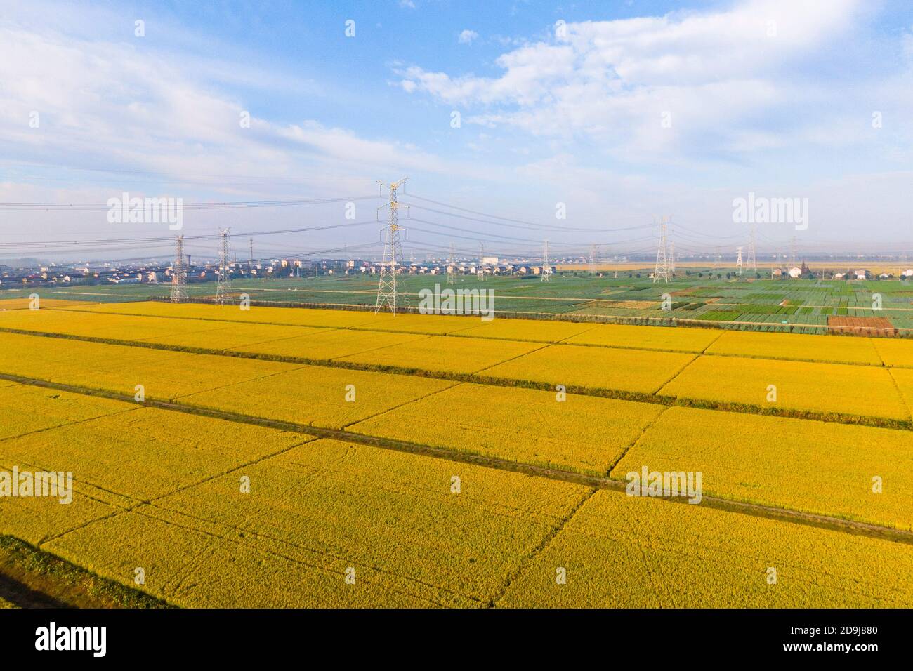 Aerial view of the farming field in Hai'an city, east China's Jiangsu ...