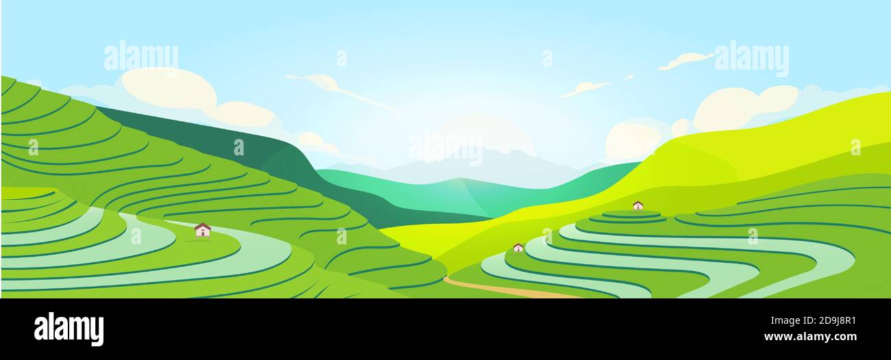 Terraced fields at sunset flat color vector illustration Stock Vector ...