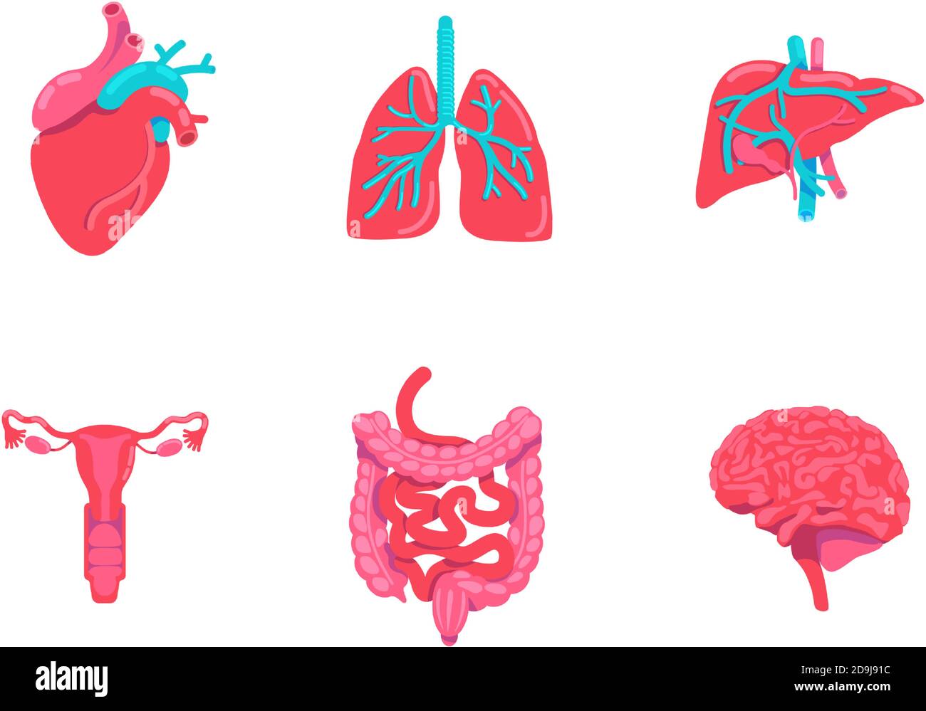 Human Body Anatomy Parts Flat Color Vector Objects Set Stock Vector human-body-anatomy-parts-flat-color-vector-objects-set-stock-vector