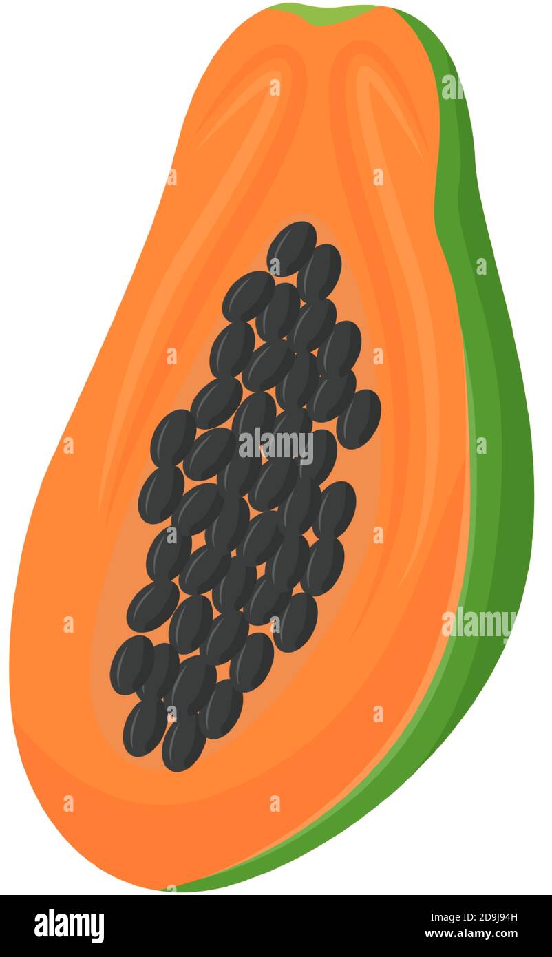 Papaya cartoon vector illustration Stock Vector Image & Art - Alamy