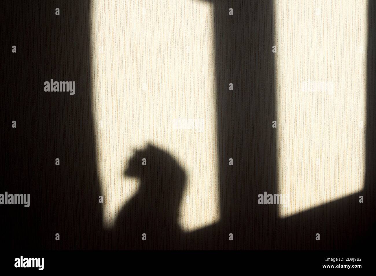Black shadow of the sun hi-res stock photography and images - Alamy