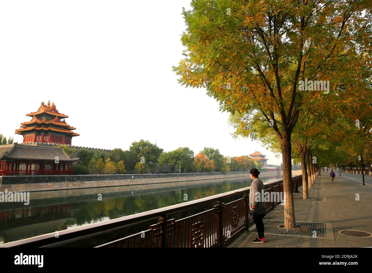 The beautiful autumn scenery of the Palace Museum, the turret of the ...