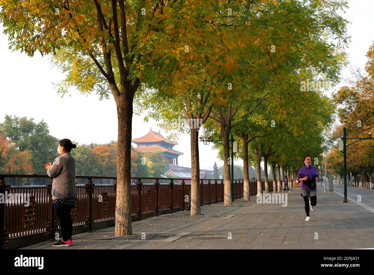 The beautiful autumn scenery of the Palace Museum, the turret of the ...