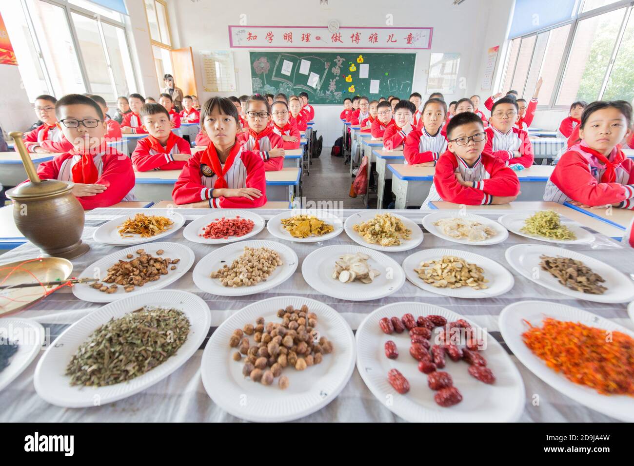 A herbalist teaches students knowledge of traditional Chinese medicine ...