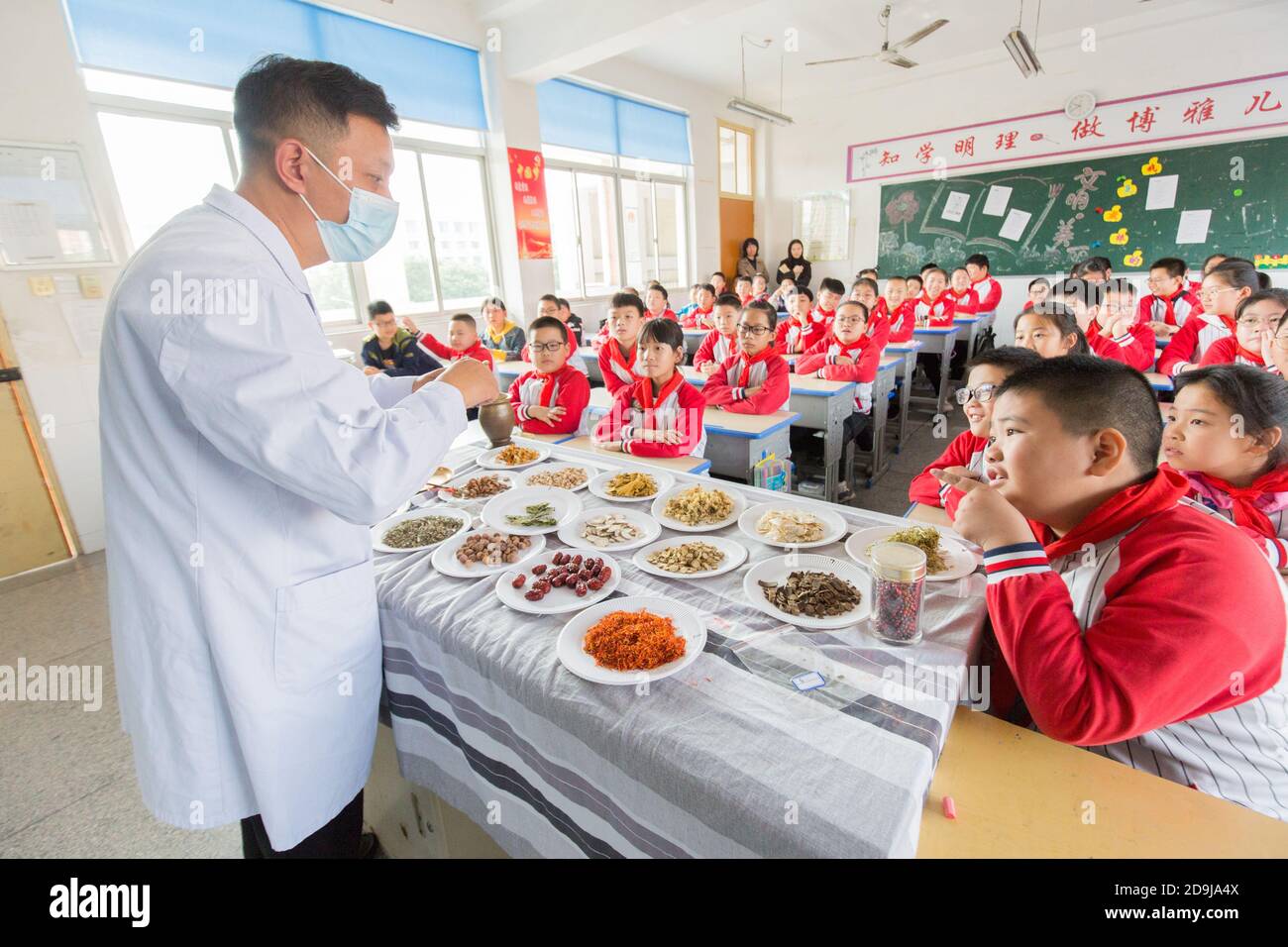 A herbalist teaches students knowledge of traditional Chinese medicine ...