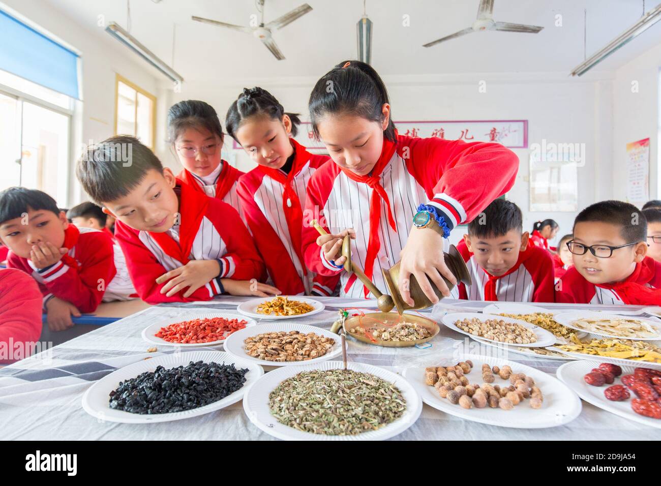 A herbalist teaches students knowledge of traditional Chinese medicine ...