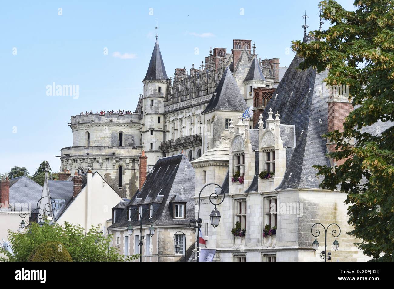 Mesmerizing shot of Amboise Castle in Loire Valley, Touraine region ...
