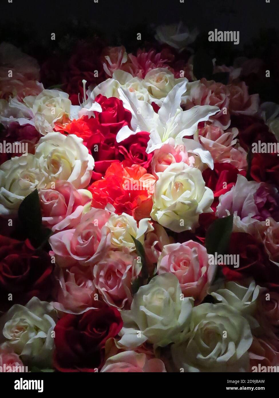 Beautiful vertical shot roses hi-res stock photography and images - Alamy
