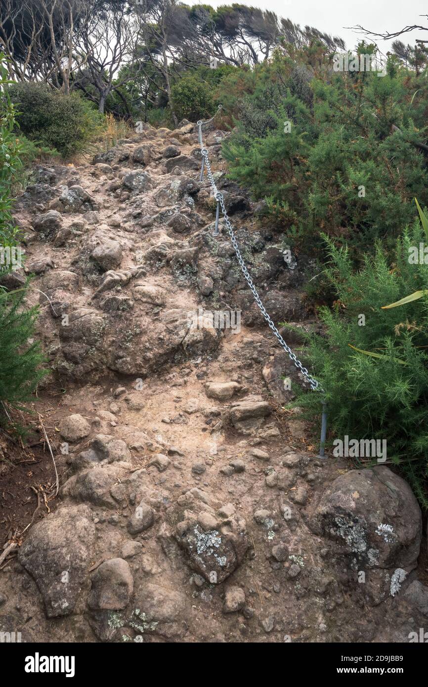 Hillary trail new zealand hi-res stock photography and images - Alamy