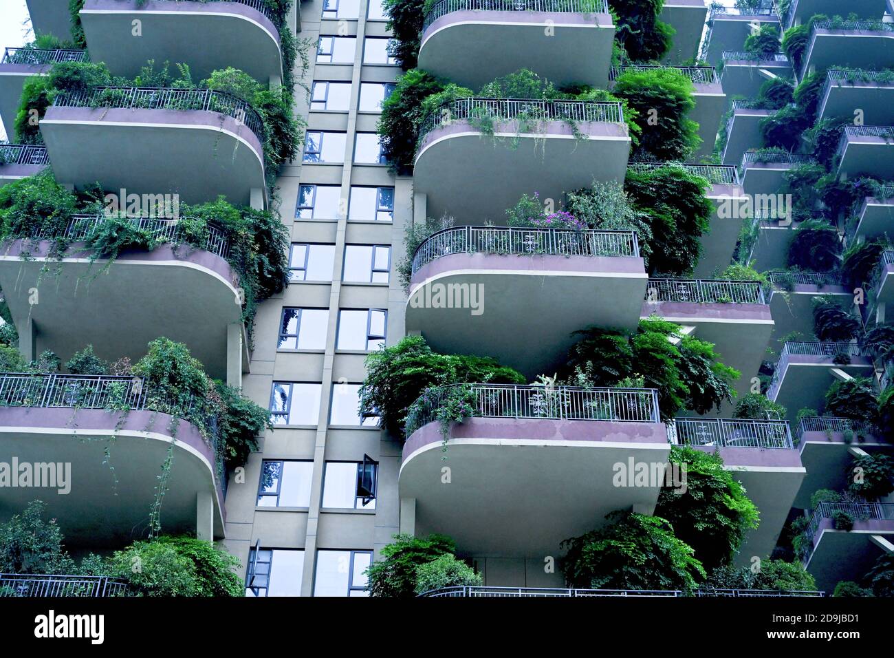 Built in 2018, the Qiyi City Forest Garden in Chengdu was meant to be a ...