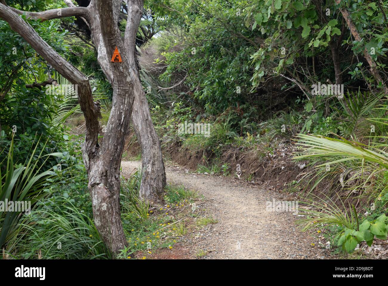 AUCKLAND, NEW ZEALAND - Jan 02, 2020: View of Hillary Trail in ...