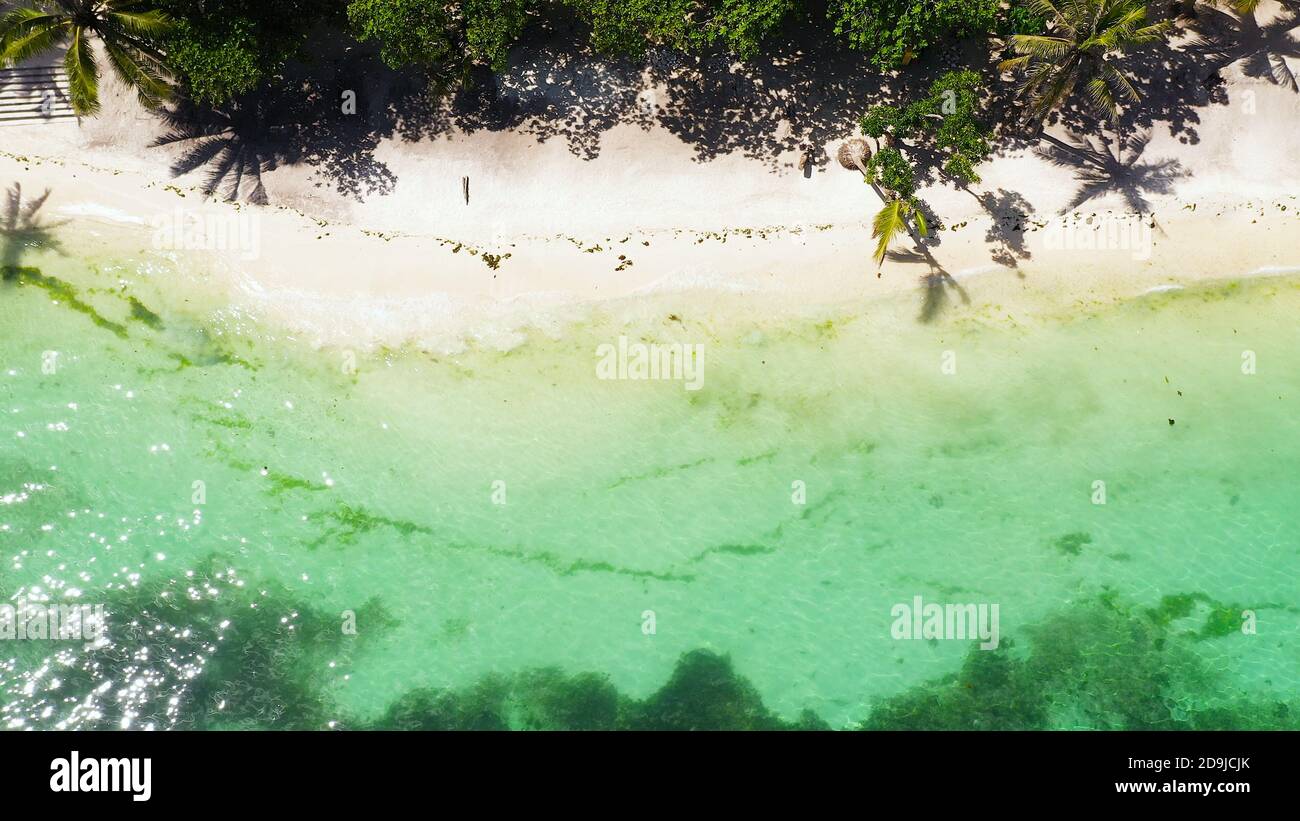 Beautiful tropical beach with white sand, palm trees, turquoise ocean ...
