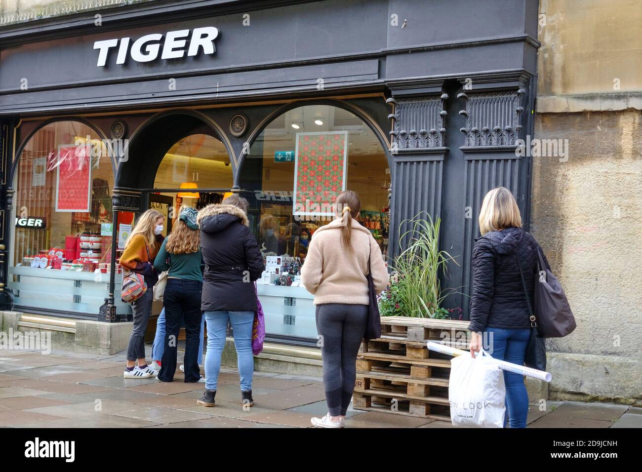 Tiger shop hi-res stock photography and images - Alamy