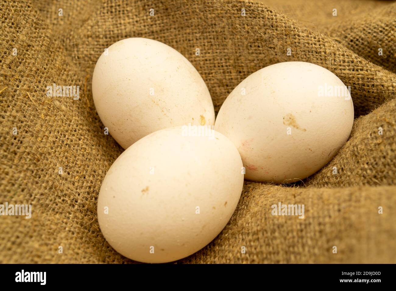 Large white eggs lying on sacking. Close up Stock Photo - Alamy