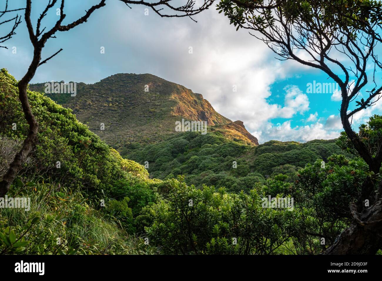 Hikurangi Takatu Head mountain at Piha Stock Photo - Alamy