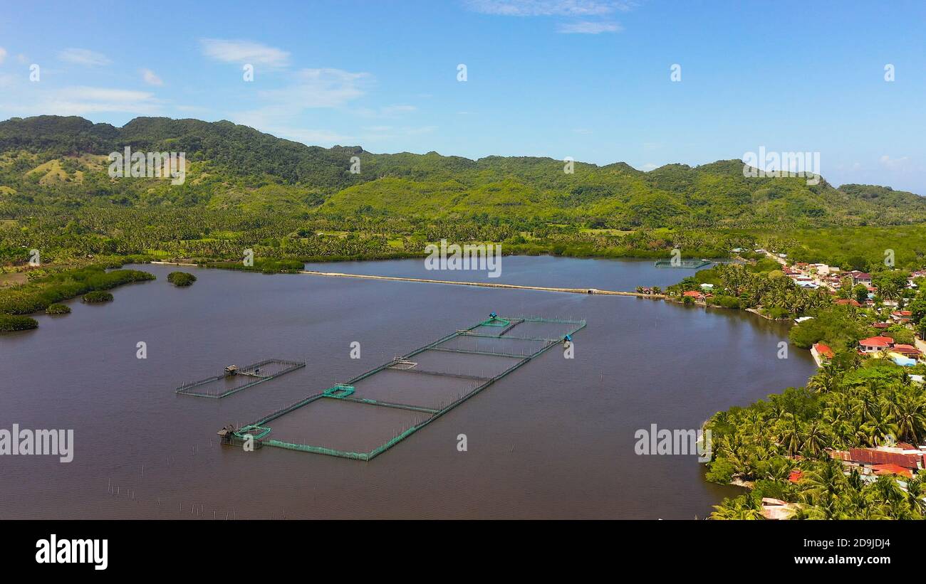 Fish farm with ponds and nets among the mountains covered with jungle ...