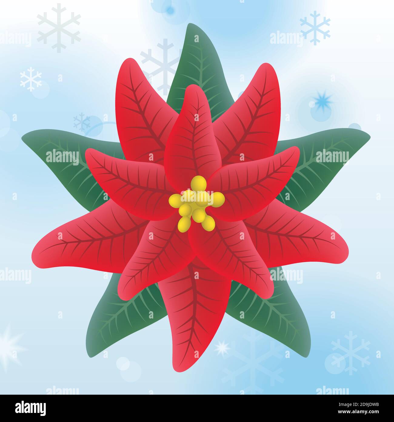 Poinsettia vector vectors hi-res stock photography and images - Alamy