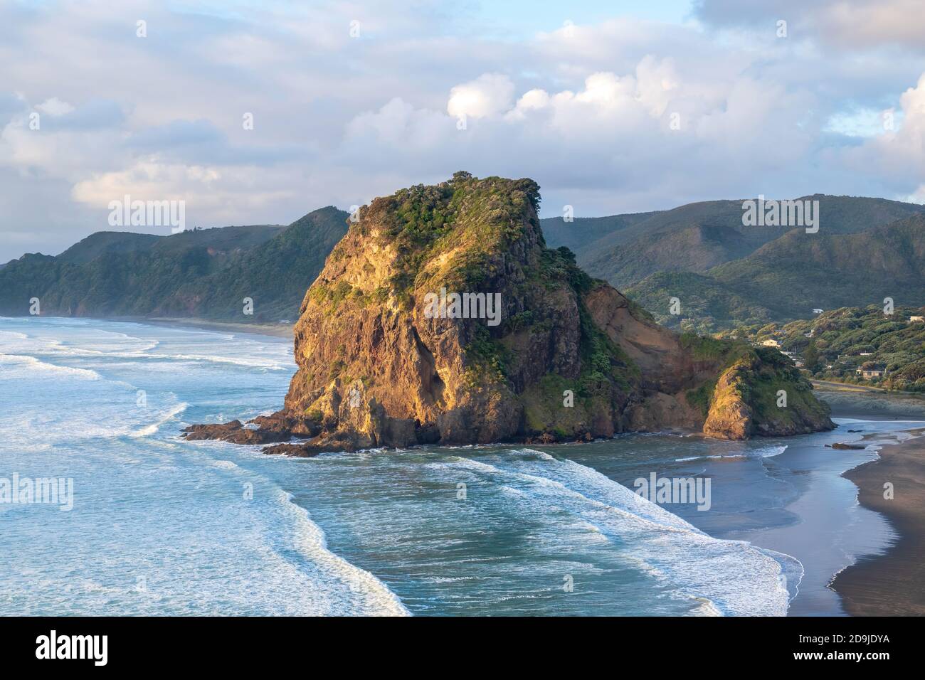 Lion Rock and Piha beach Stock Photo - Alamy