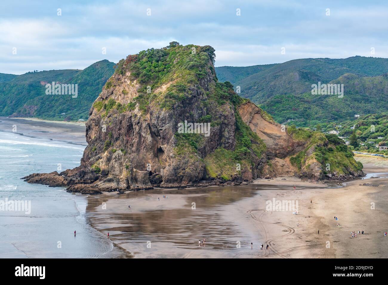 Lion Rock and Piha beach Stock Photo - Alamy