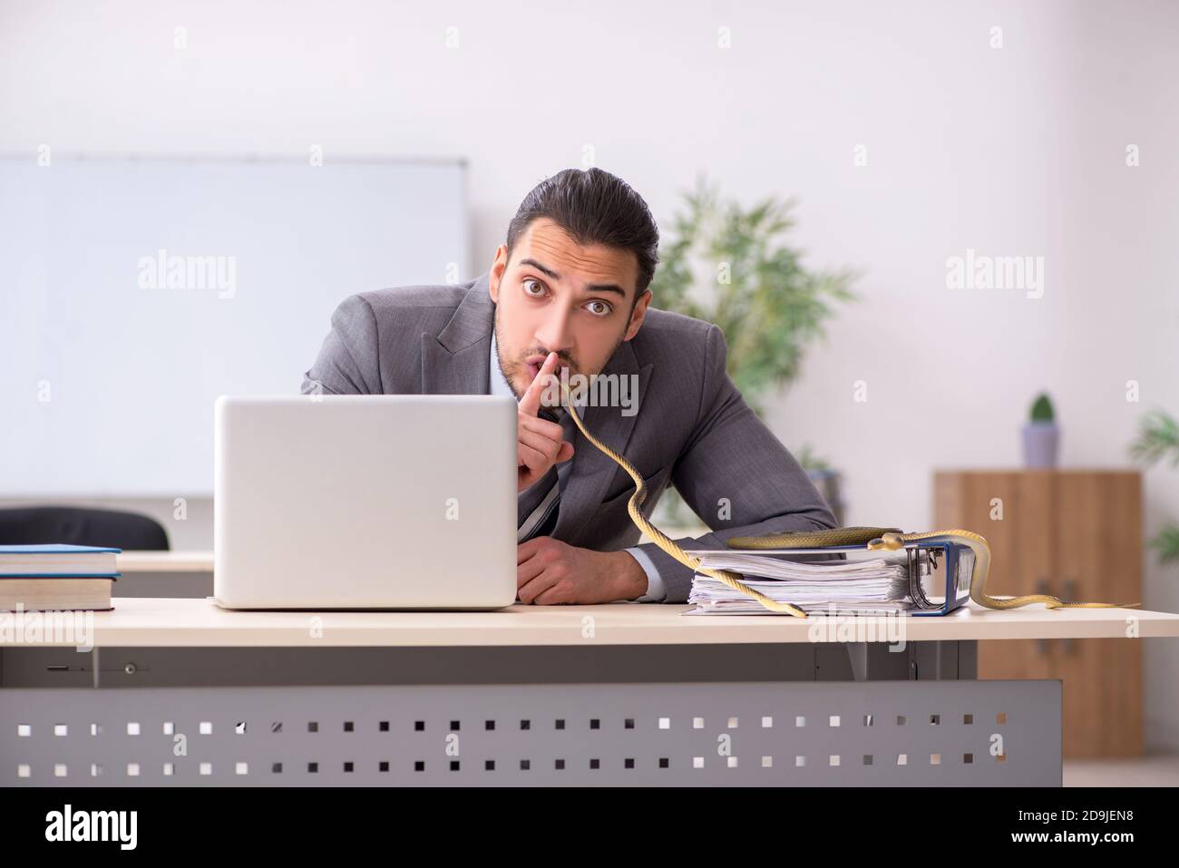 Male employee with snake in the office Stock Photo - Alamy