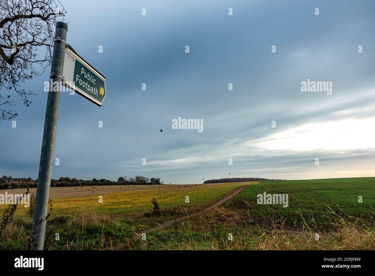Public footpath sign showing the direction of pathway Stock Photo - Alamy