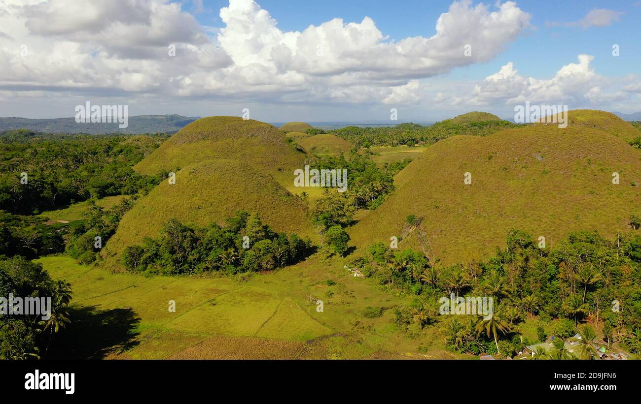 Tropical landscape: Chocolate hills is a famous tourist attraction on ...