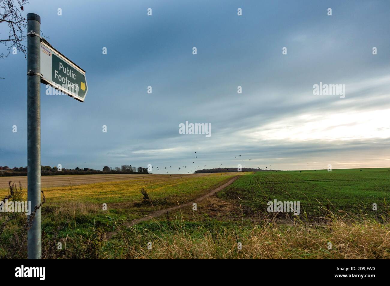 Public footpath sign showing the direction of pathway Stock Photo - Alamy