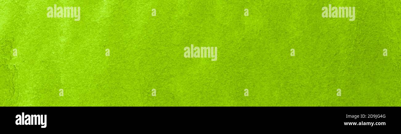 Flamboyant green watercolor background. A ready-made frame for creative ...