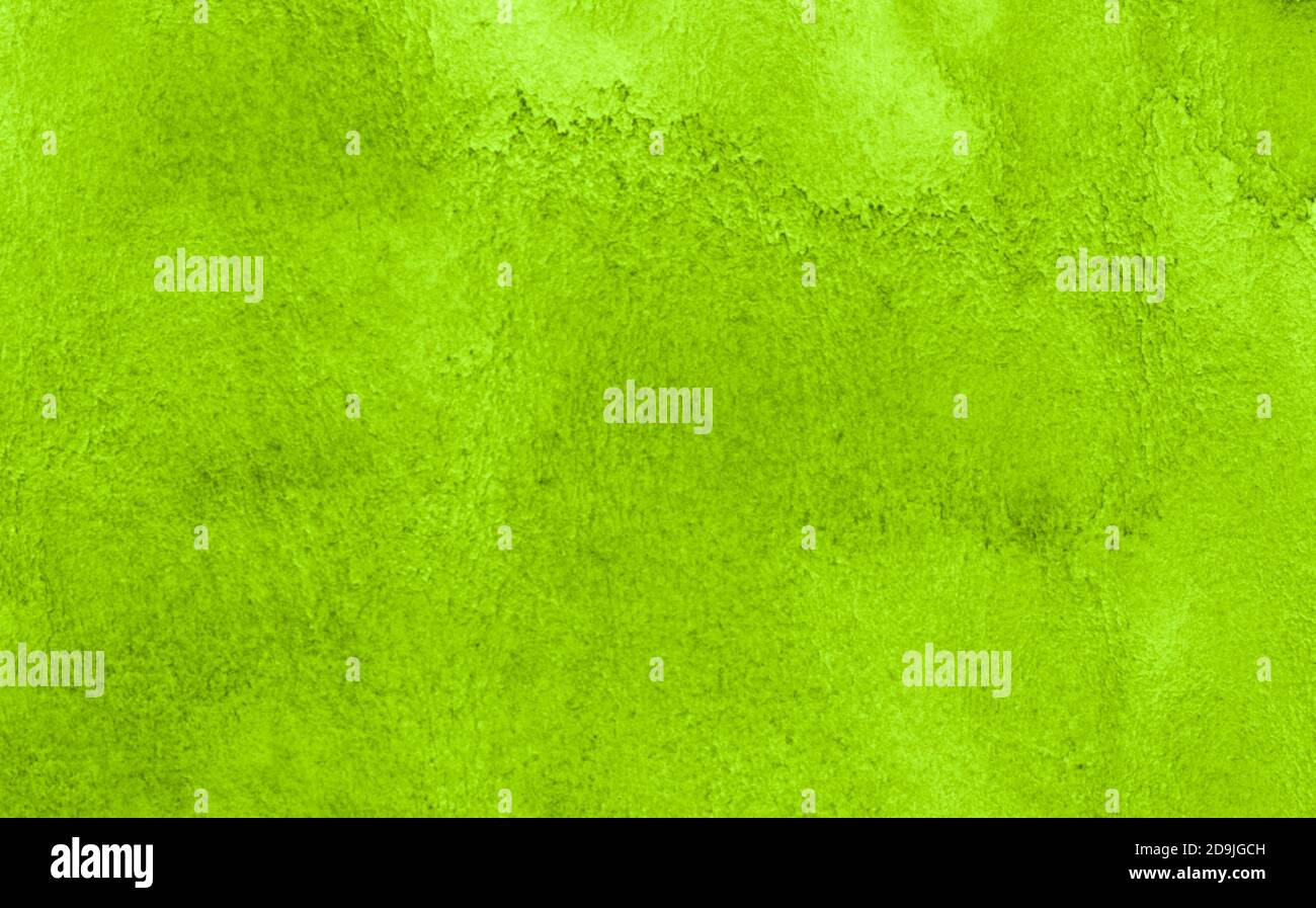 Flamboyant green watercolor background. A ready-made frame for creative ...