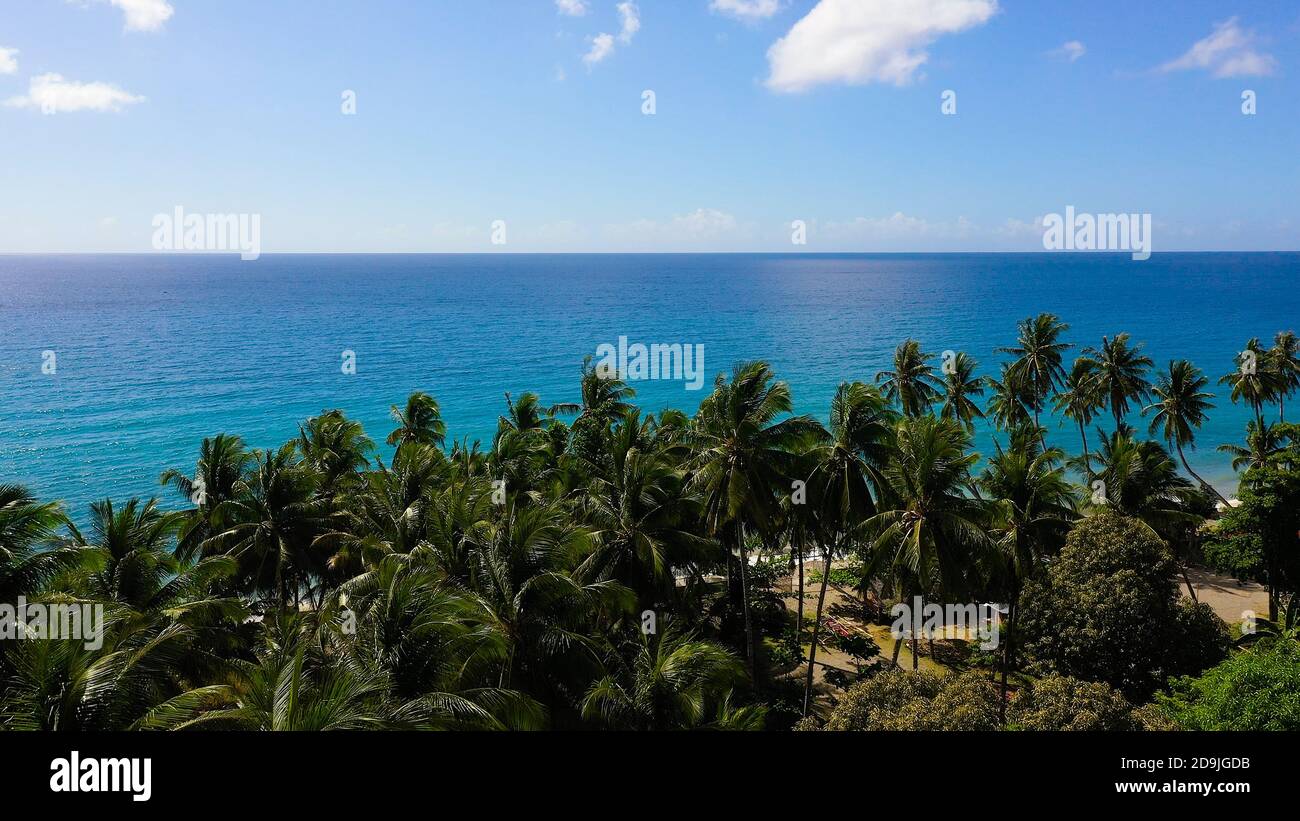 Beautiful tropical beach and turquoise water view from above. Bohol ...