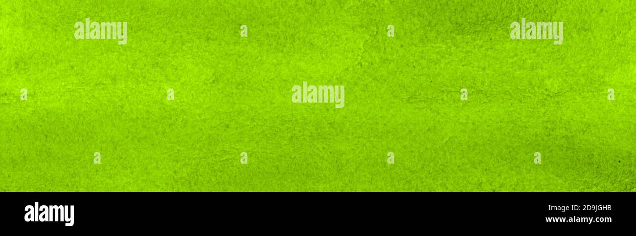 Flamboyant green watercolor background. A ready-made frame for creative ...